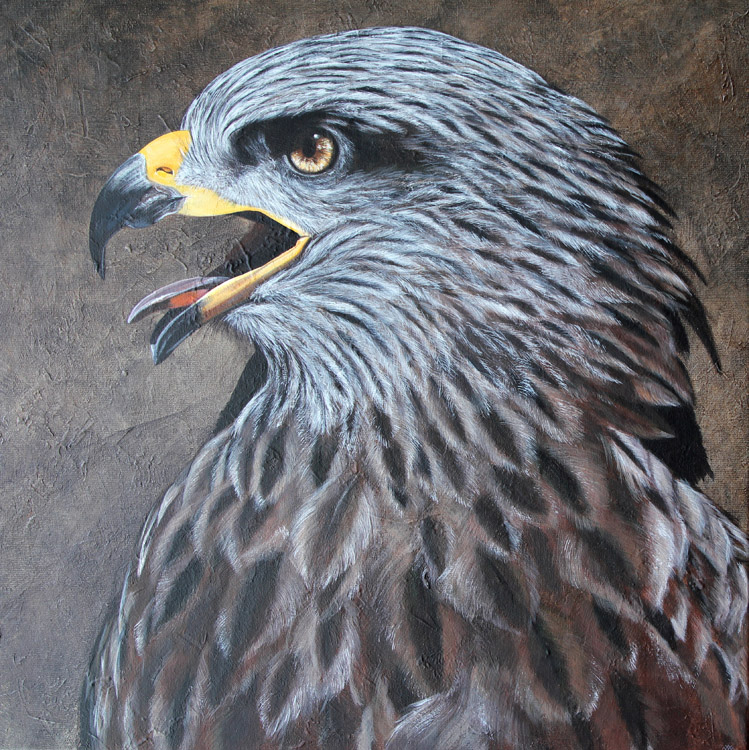 Danielle Wicht | Plexus Art Gallery